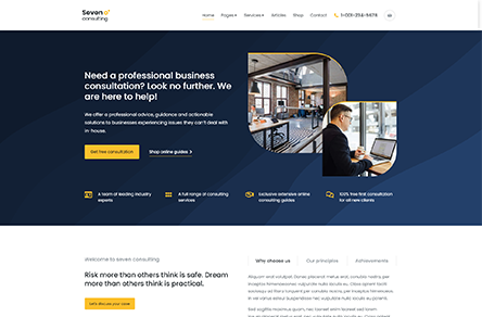 Top-Rated Web Design Services - Webitronics