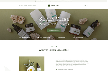 Top-Rated Web Design Services - Webitronics